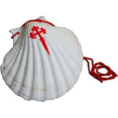 Pilgrim Shell | Shell of the Camino de Santiago